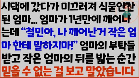 신청사연 시댁에 갔다가 미끄러져 식물인간이 된 엄마 엄마가 1년만에 꺠어나는데 철민아 나 깨어난거 작은 엄마한테