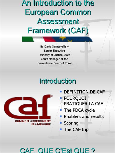 Common Assessment Framework Pdf Redevabilité Direction
