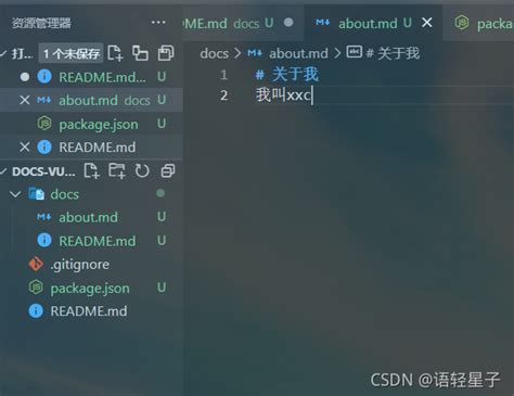 Vuepress学习笔记vuepress 添加log Csdn博客