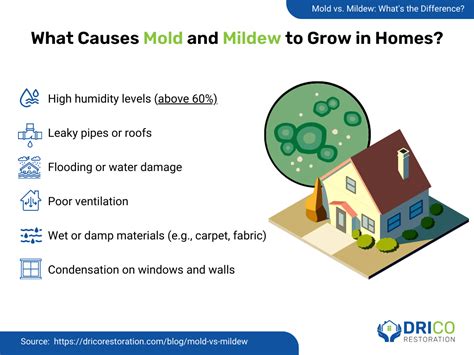 5 Key Differences Between Mold Mildew Infographic