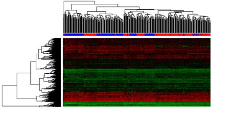 R Why Does The Heatmap Of This Gene Expression Data Don T Show A Decent Clustering Here