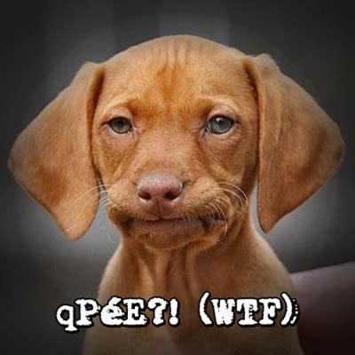 Branfs Tumblr Com Tumbex