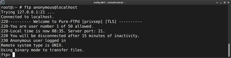 Установка и настройка Pure Ftpd в Freebsd 14 Notbynet