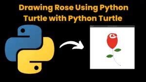 Drawing Rose Using Python CodeWithCurious