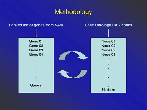 Ppt Gene Expression Meets Gene Ontology A Novel Statistical Method For Microarray Analysis