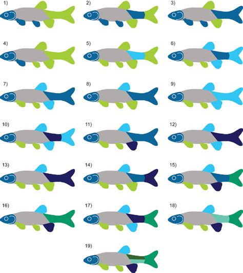 Graphical Representation Of The 19 A Priori Hypotheses Of Modularity