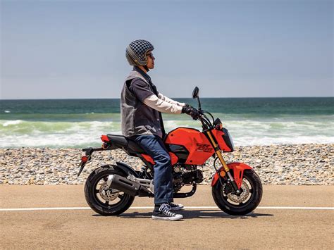 New 2026 Honda Grom Motorcycles In Lafayette La Stock Number 400282
