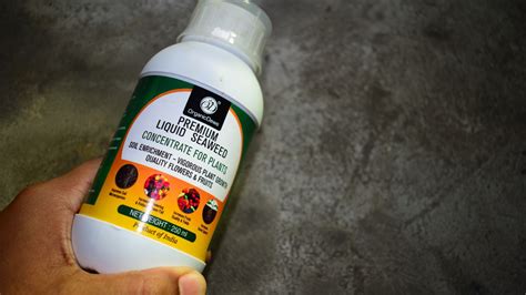 The Garage Items That Do Not Tolerate Freezing And Where To Put Them