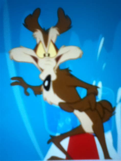 Wile E Coyote By Ohyeahcartoonsfan 2 On Deviantart