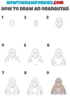 How To Draw An Orangutan Step By Step Tutorial
