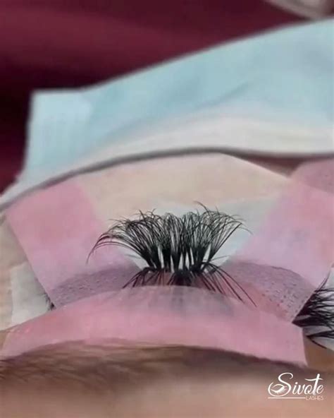 Lashing In Layers Tutorial For Lash Techs Artofit