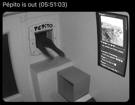 Wunk Is Out R Wunkus