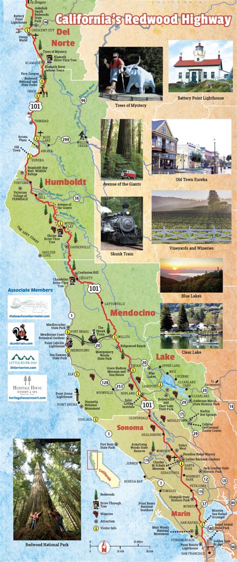 Redwood Trees In California Map At Gabriella Morison Blog