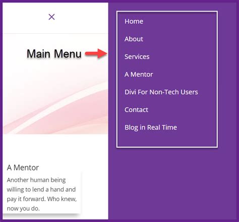 Divi Theme Customizer Monterey Premier