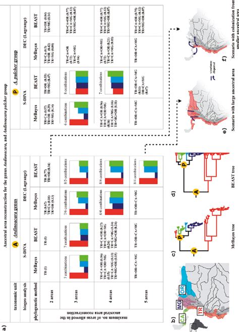 Comparison Of Ancestral Area Reconstruction For The Genus Andinoacara