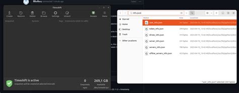 snapshots not detected by timeshift · issue 108 · linuxmint timeshift