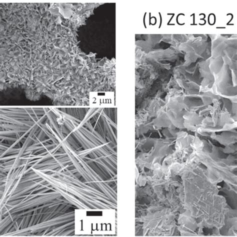Sem Micrograph Of The A Co3o4 And B Znco2o4 Nanostructure