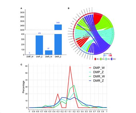 Distribution Of Dmrsdmps On Sex Chromosomes Of Zw And Zz Groups A