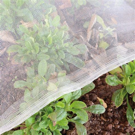 Garden Mosquito Bug Insect Bird Net Insect Barrier Vicedeal