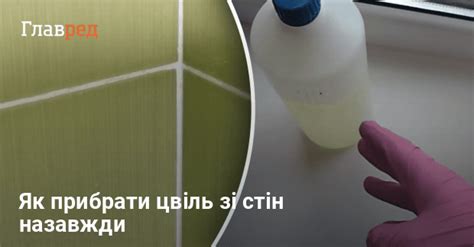 Як прибрати цвіль зі стін народними засобами ефективні способи Главред
