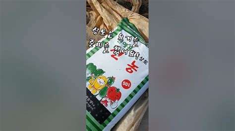 아스파라거스 모종 이렇게 해보세요 Youtube