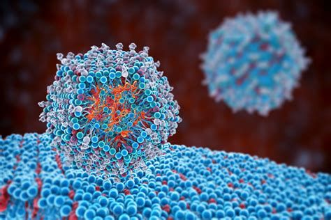 Vacunas Contra El Cáncer Qué Son Y En Qué Momento Estamos