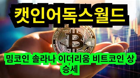 캣인어독스월드 코인 밈코인 솔라나 이더리움 비트코인 상승세 Youtube