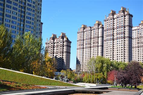 모래 사냥 공장 공원 바탕 화면 배경 아름다움 늦은 가을 공원 배경 일러스트 및 사진 무료 다운로드 Pngtree