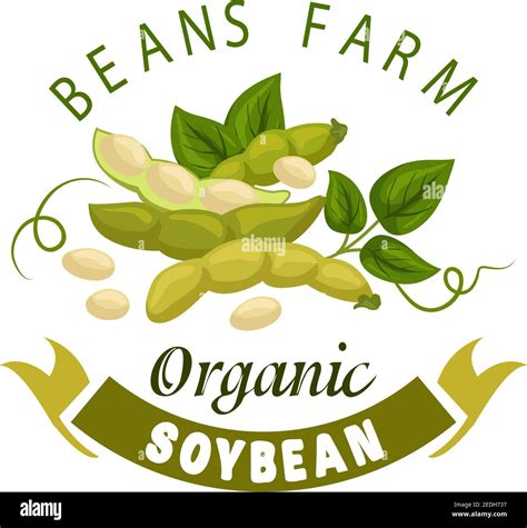 Soybean Vector Poster Organic Farm Harvest Of Legume Beans Or Soya