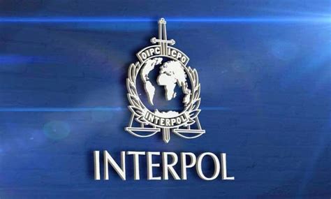 More Than 300 Arrests In African Countries To Combat Cyber Threats The