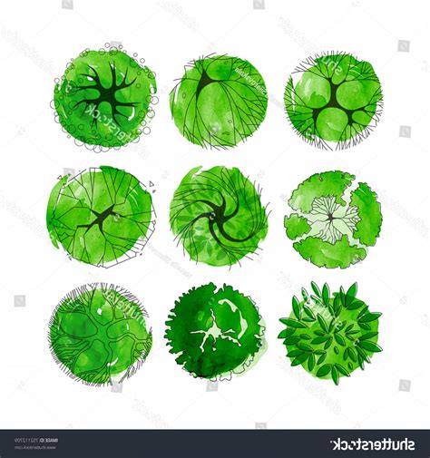 Tree Top View Vector At Vectorified Collection Of Tree Top View