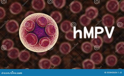 Hmpv Virus Structure Close Up With Highlighted Protein Components Hmpv