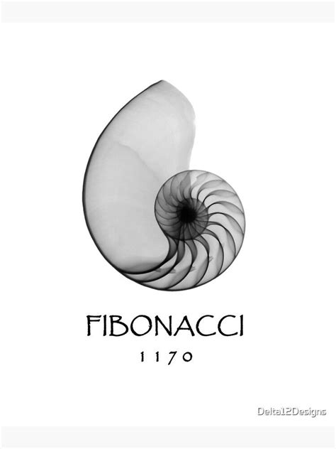 Fibonacci Nautilus Spiral Shell X Ray Art Print
