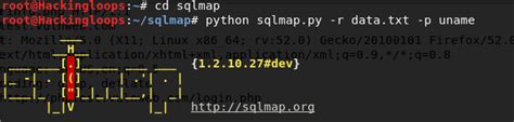 Sqlmap Sql Vulnerabilities Detection And Exploitation Tool