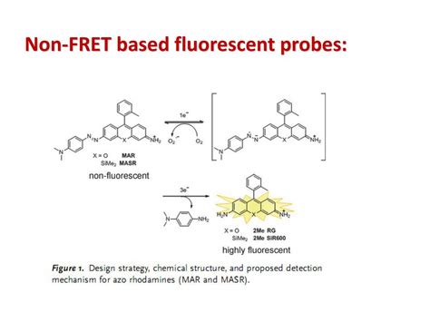 Development Of Azo Based Fluorescent Probes To Detect Different Levels Of Hypoxia Wen Piao