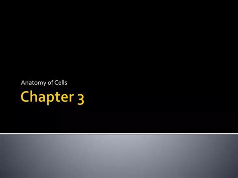 PPT Chapter 3 PowerPoint Presentation Free Download ID 2031050
