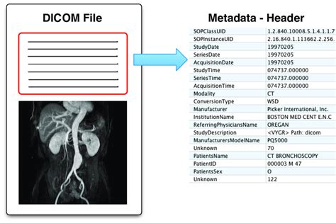 2 Dicom Object With Metadata And Image The Header Is Zoom In Right