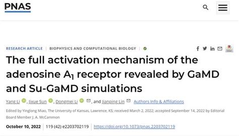 林建平、李冬梅团队开发了一种新的分子动力学方法——su Gamd，并揭示了腺苷a1受体的完全活化机制 南开大学药学院