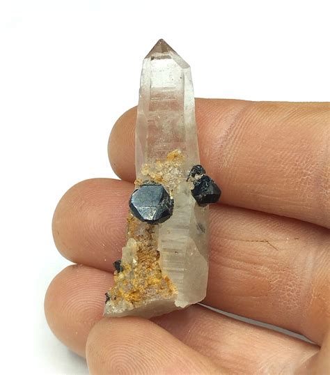 Cassiterite On Quartz Horní Slavkov Schlaggenwald Czech Republic