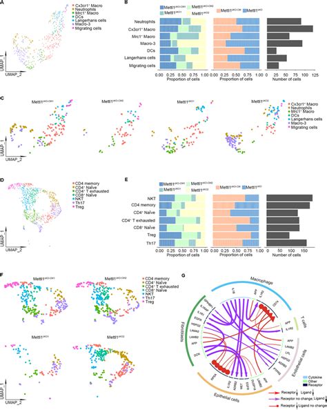 Scrna‐seq Analysis Of Tumor Cell‐microenvironment Crosstalk In Hnscc