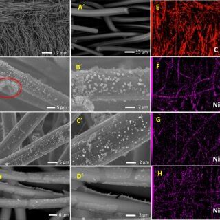 SEM Images For A And A CF B And B Ni CF C And C Ni Download Scientific