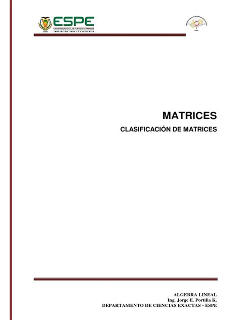 ClasificaciÓn De Matrices Pdf Matriz Matemáticas Objetos