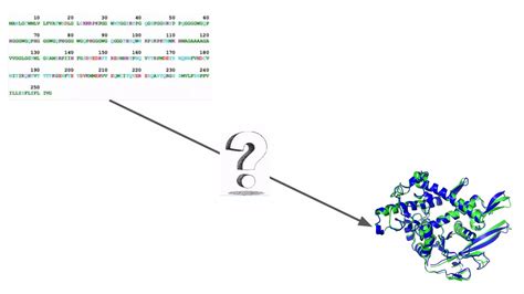 Protein Modeling Overview Pdf