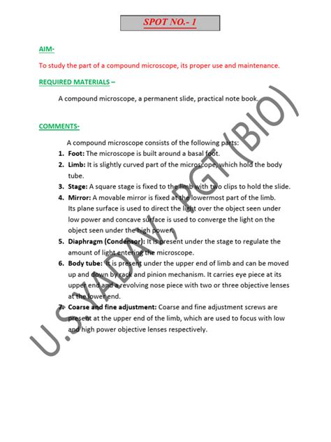 compound microscope pdf