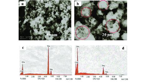 Sem Images And Edx Spectra Of A And C Of Ta B And D Tx Download Scientific Diagram