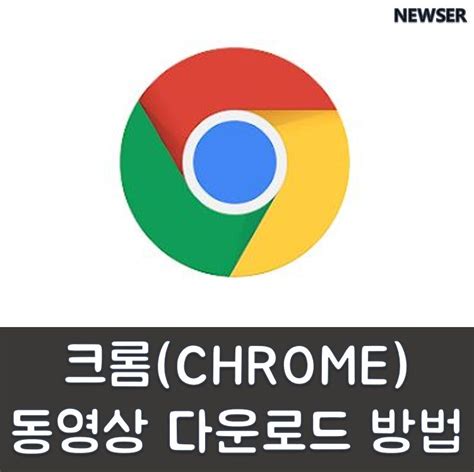 크롬chrome 동영상 다운로드 방법확장프로그램 F12 Newser