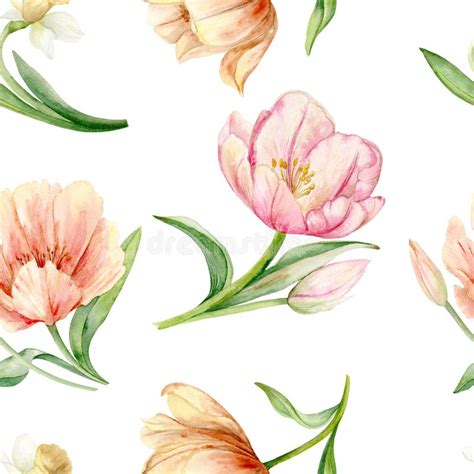 Spring Flowers Tulips And Daffodils Seamless Pattern Stock Illustration Illustration Of