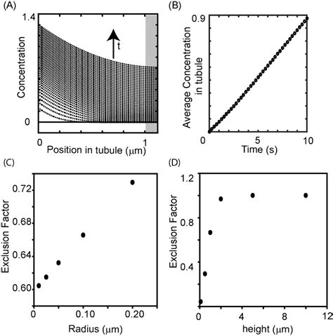 Variation Of Concentration Along The Tubule Surface Under Neumann Download Scientific Diagram