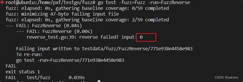 golang 1 18 新特性模糊测试 csdn博客