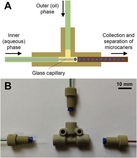 Schematic Image A And Exploded View B Of The Off The Shelf Flow